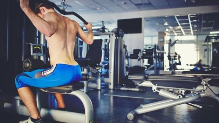 Top 8 Back Exercises Gym Lovers Must Try | Ginnastic Arena